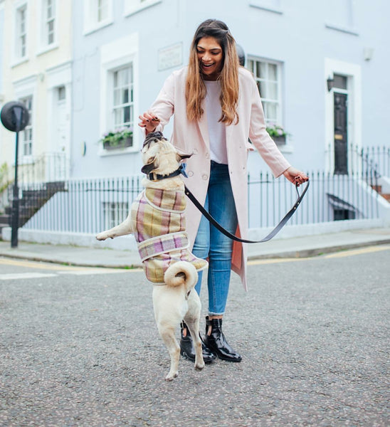100% British Wool Dog Coats | Handmade in England, UK – Hettie